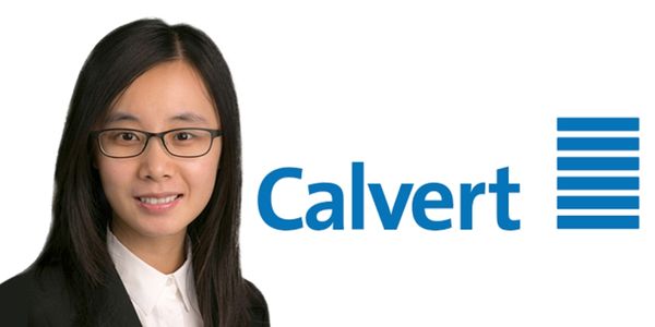 Investment Stewardship Impact Update 2022 - New Covenant Trust